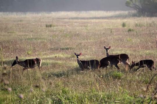 Florida State Parks - Florida State Parks Reservation System