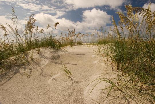 Florida State Parks - Florida State Parks Reservation System
