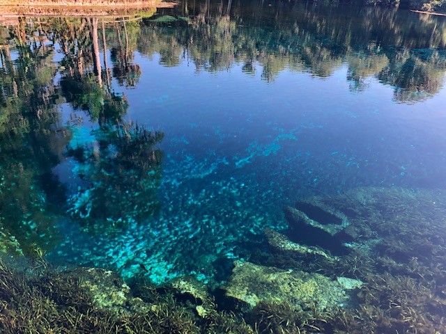 Florida State Parks - Florida State Parks Reservation System